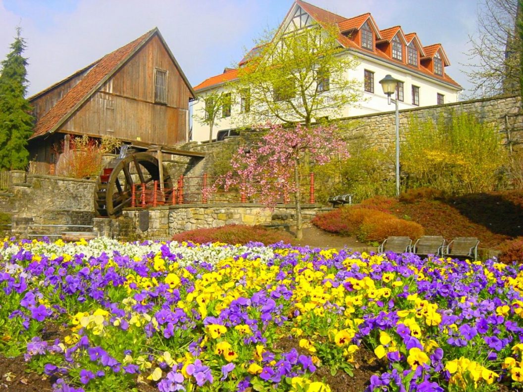 Bad Driburg – Bad Driburg im Blick