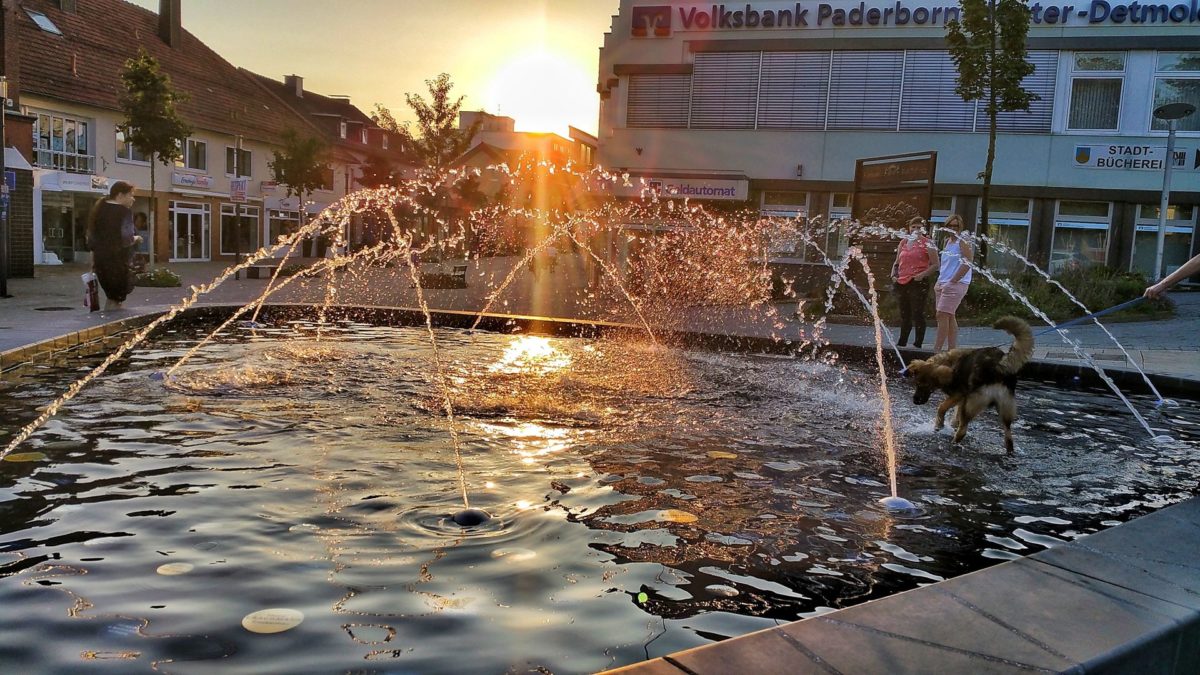 Bad Driburg – Bad Driburg im Blick